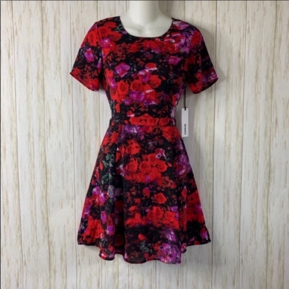 BB Dakota | Dresses | Nwt Bb Dakota Dress Sz Floral Mini Short Sleeve ...